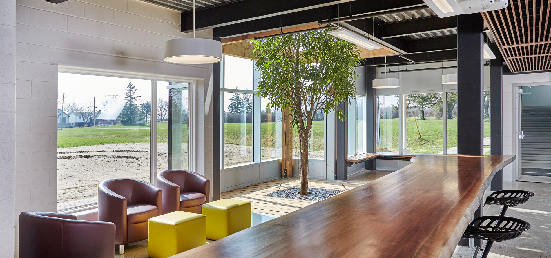 A tree grows inside it | Schilthuis Group of Companies